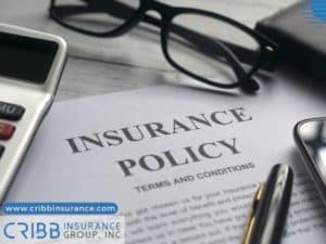 Personal Lines Insurance: What You Need to Know Now