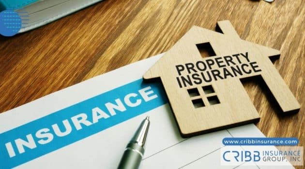 Types of Insurance Coverage You Should Know