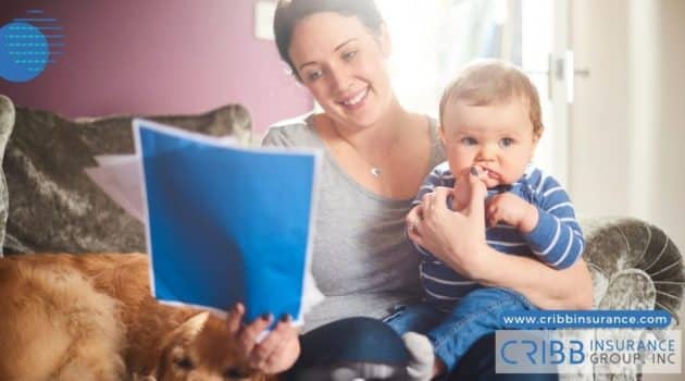 What Is Whole Life Insurance and How Does It Work?