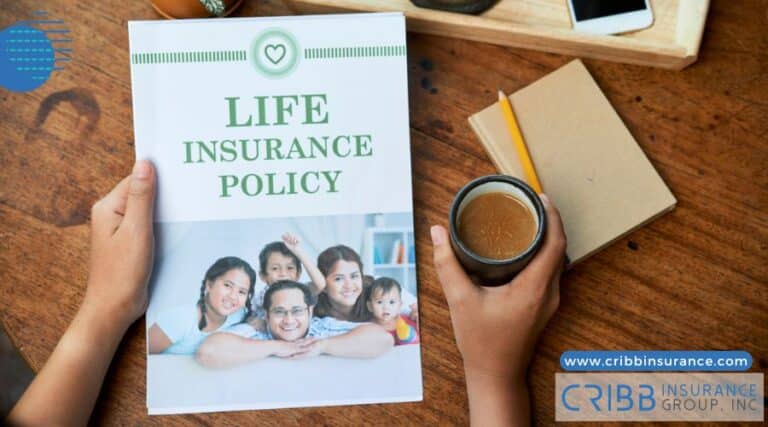 Life Insurance Settlement Options: A Quick Guide